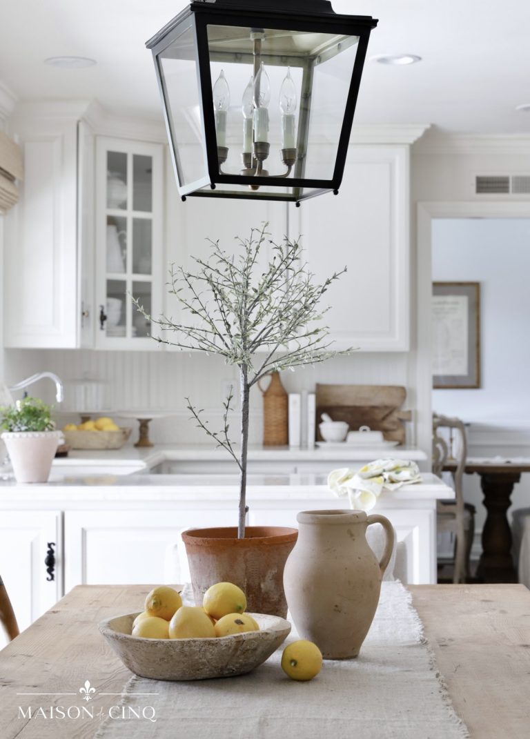 How to Make a Diamond Pattern Espalier:Creating a Belgian Fence